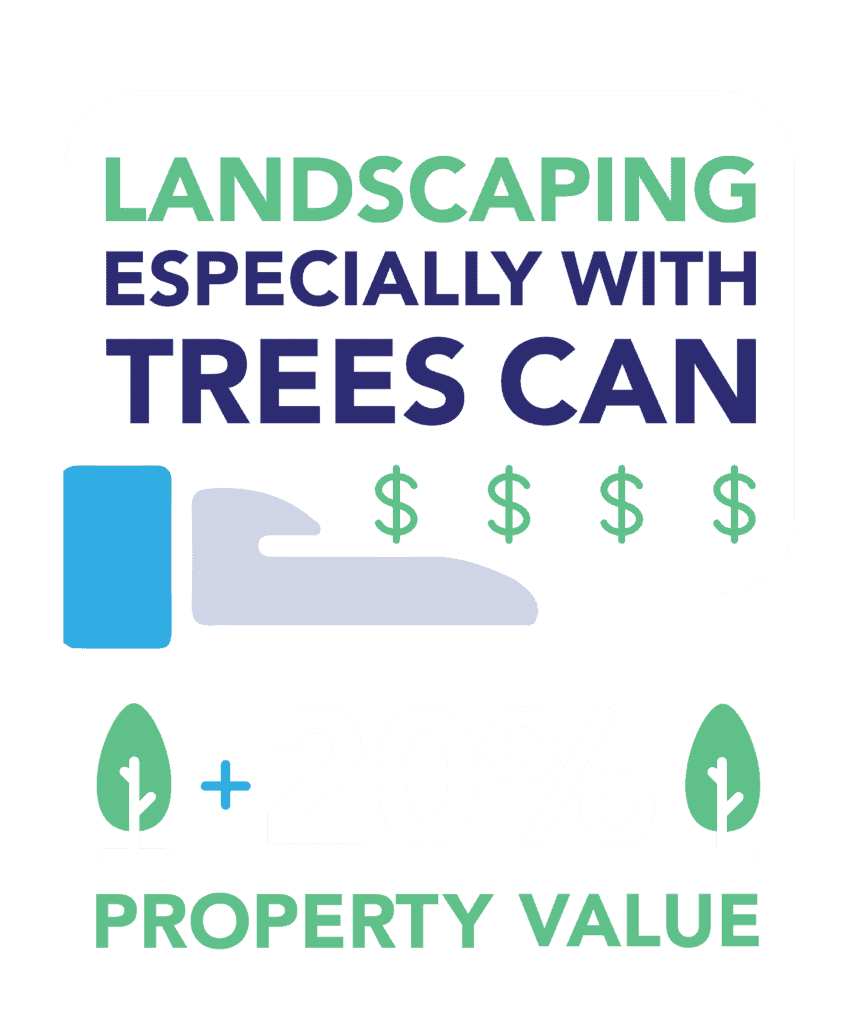 Tree Maintenance & Healthcare in Denver, CO Tree Maintenance & Healthcare in Denver, CO