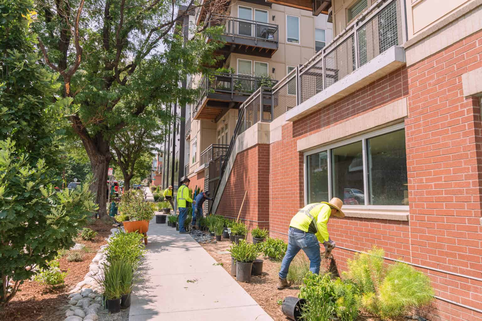 Multi-Family Community in Downtown Denver - DCPS